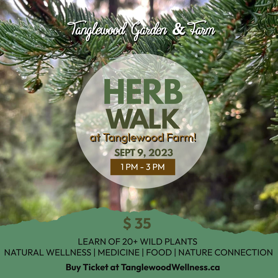 Herb Walk Sept 9, 2023– Tanglewood Organic Skincare and Wellness