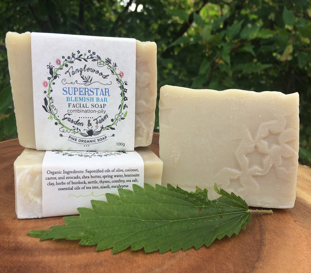 Tea Tree and Clay Organic Herbal Facial Soap– Tanglewood Organic ...